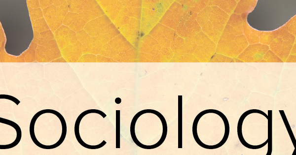 Weekly News | Department of Sociology